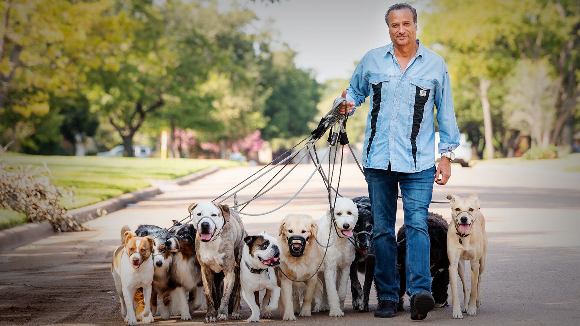 Watch To The Rescue Season 2 Free | Pluto TV