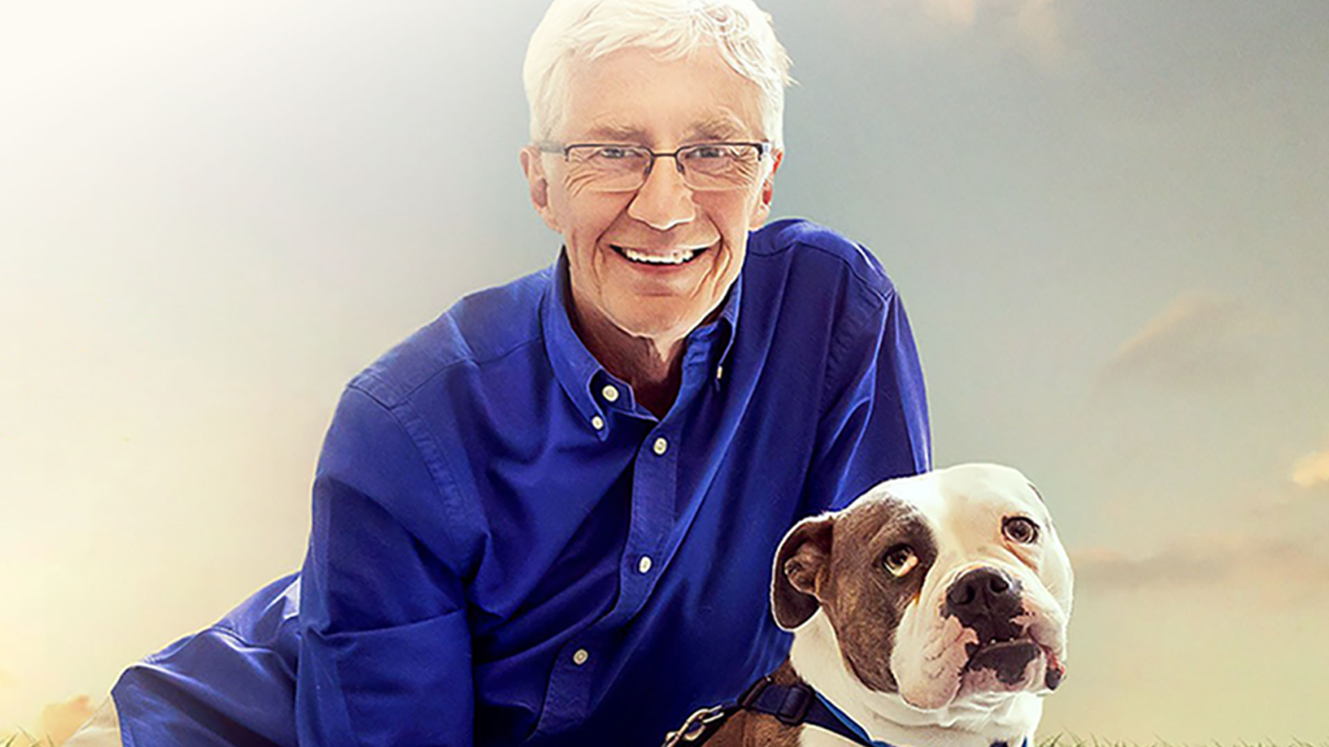 Watch Paul O'Grady: For the Love of Dogs Season 7 Free | Pluto TV